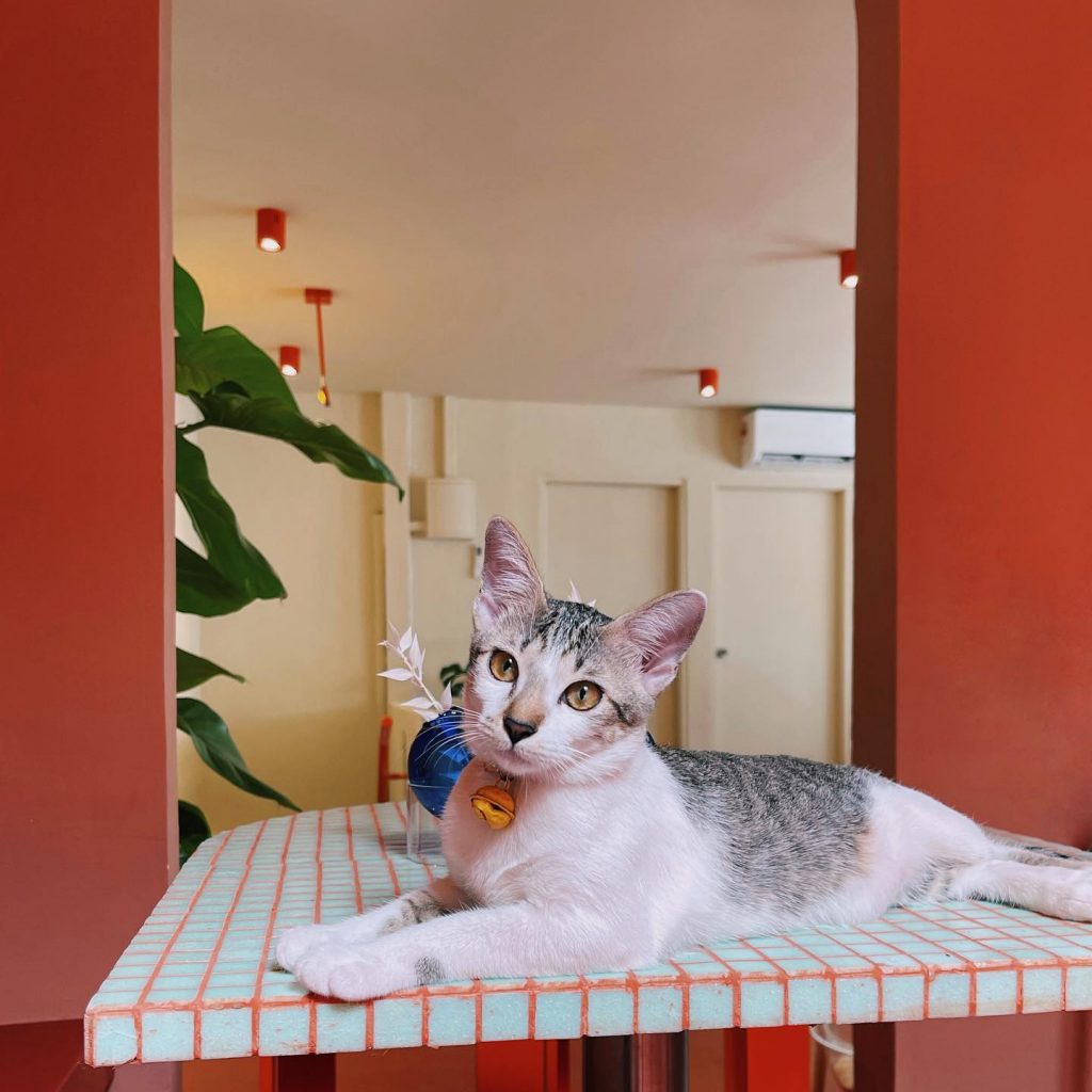 Poppy Kat - Cheras - Cafe Culture